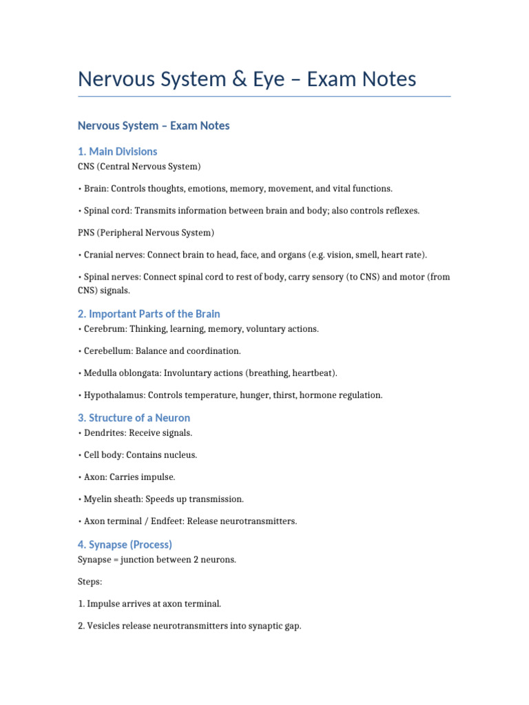 Nervous System and Eye Notes | PDF | Central Nervous System | Nervous ...