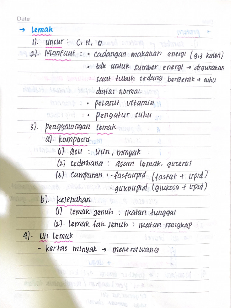 Sistem Pencernaan | PDF