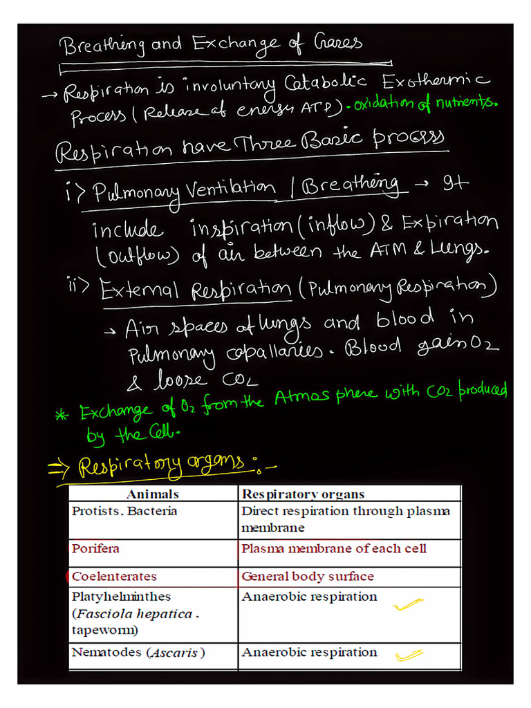 Breath & Exchange COMPLETE NOTES | PDF