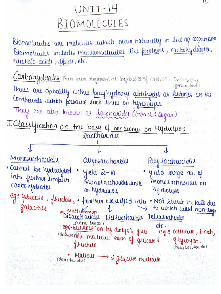 Biomolecules 2 | PDF