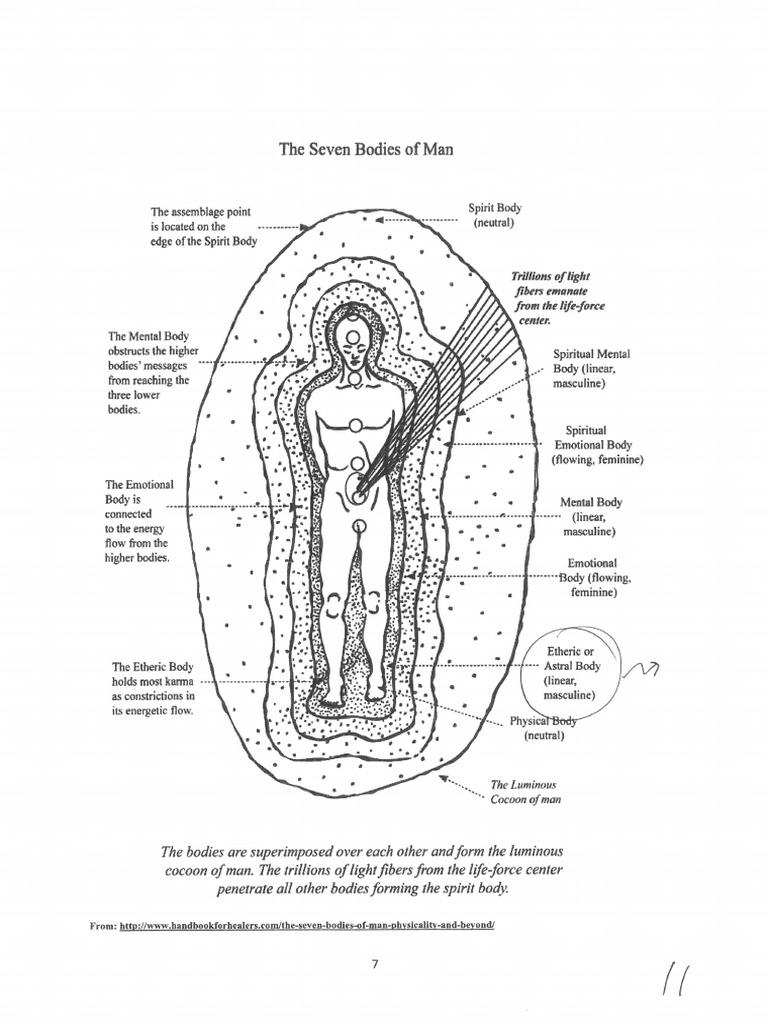 7 Bodies of Human | PDF