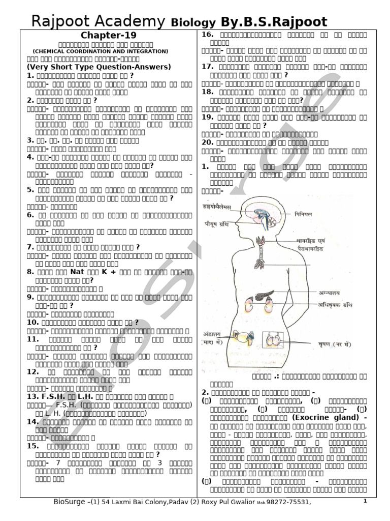 19-Chemical Coordination and Integration | PDF