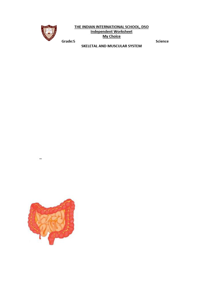 Chapter End Questions - Grade 5 - Skeletal and Muscular System | PDF
