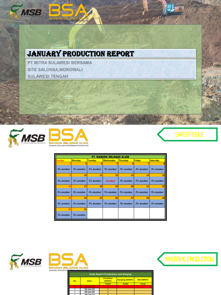 January Production Report | PDF