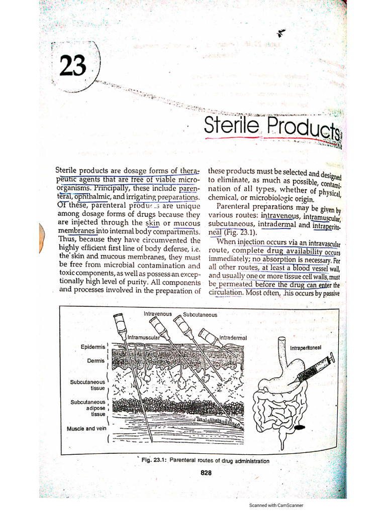 Sterile Products Lacchmann-1 | PDF