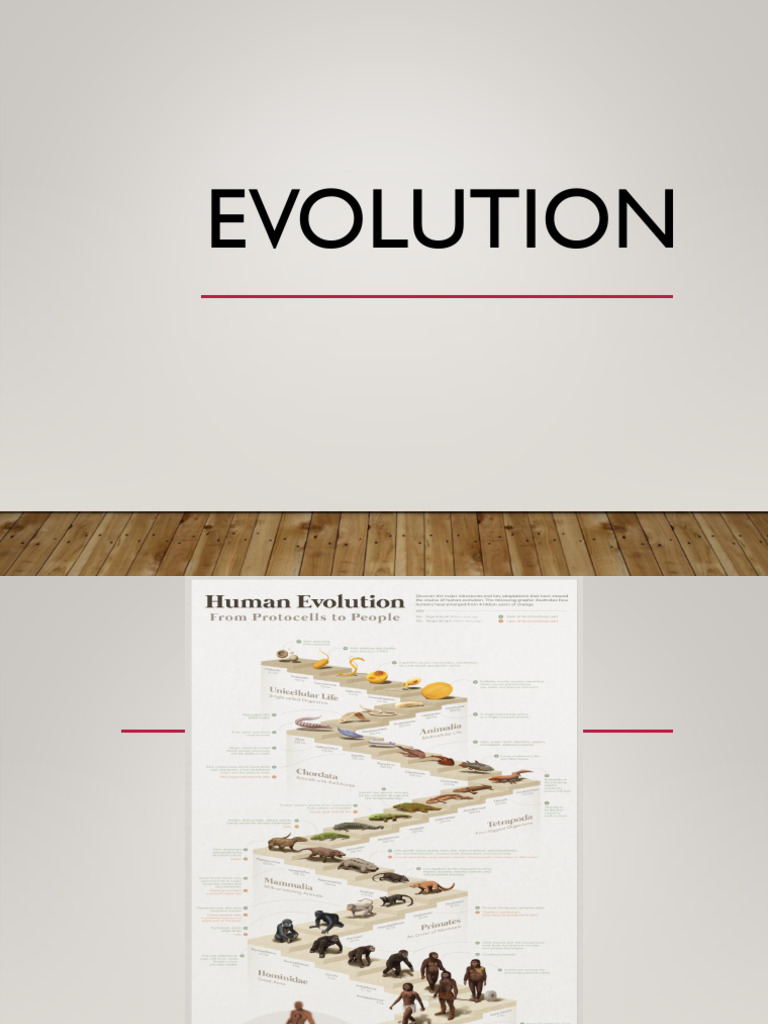 Darwin’s Theory of Evolution | PDF | Evolution | Natural Selection