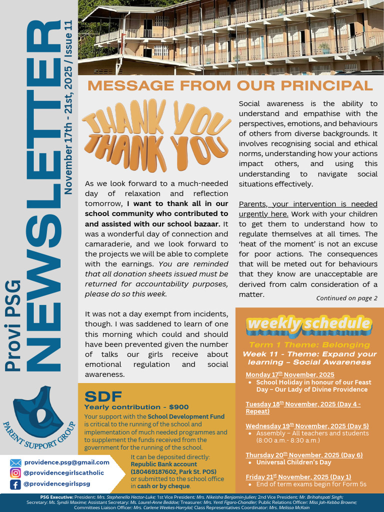 PROVI PSG Newsletter Issue 11 - 2025-2026 | PDF | Psychology