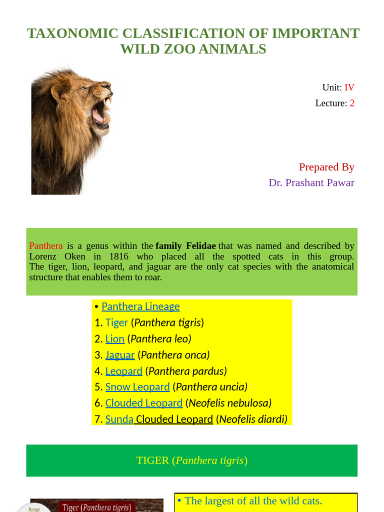 Taxonomic Classification of Zoo Animals [Autosaved] (NXPowerLite Copy) | PDF | Panthera | Felidae