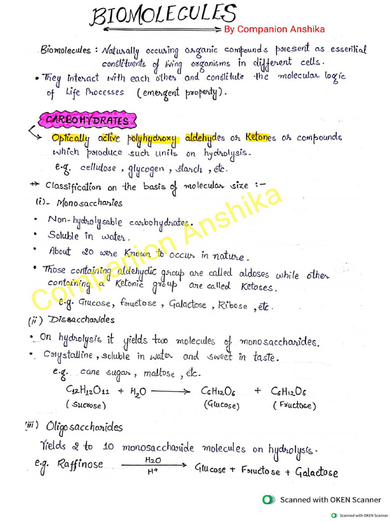 Biomolecules Class 12 Chemistry 2024-25 | PDF