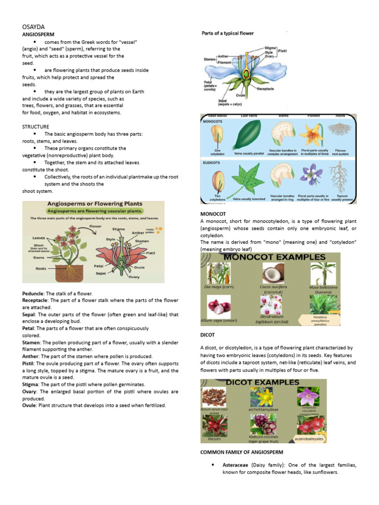 ANGio Gymno and Mollusk | PDF | Mollusca | Flowers
