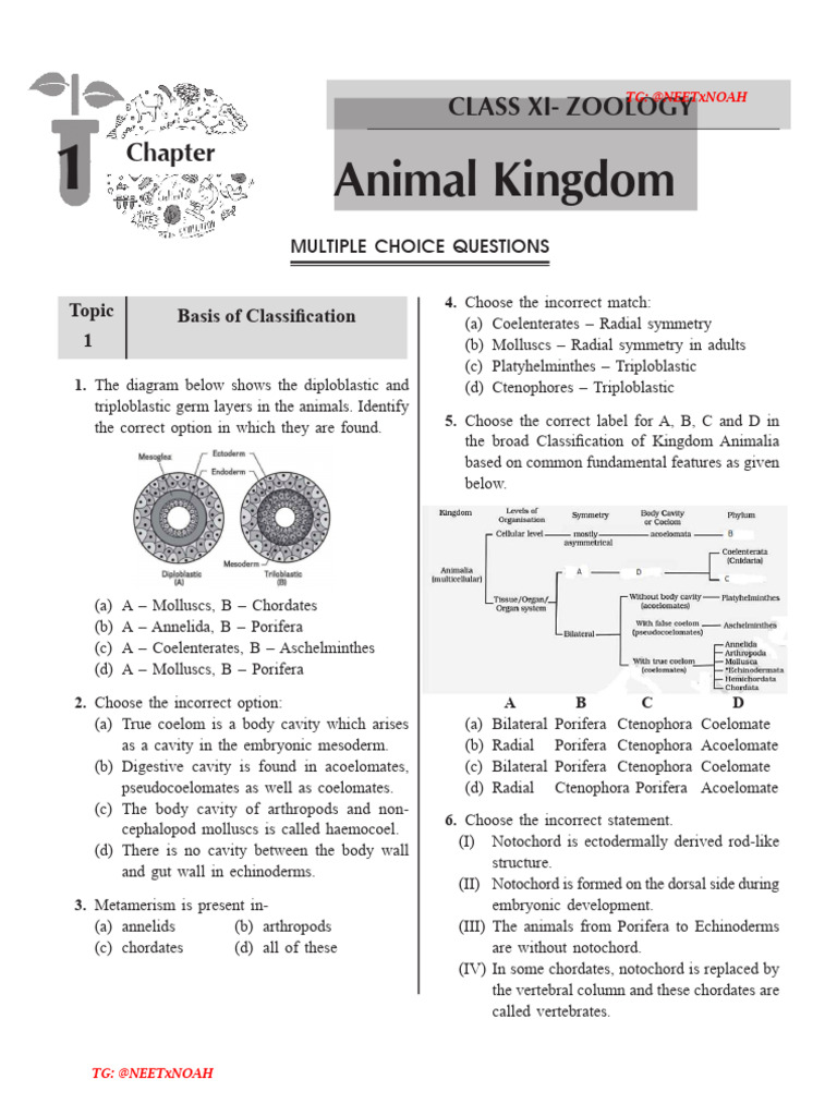 Ncert Mcqs Animal Kingdom | PDF | Sponge | Zoology