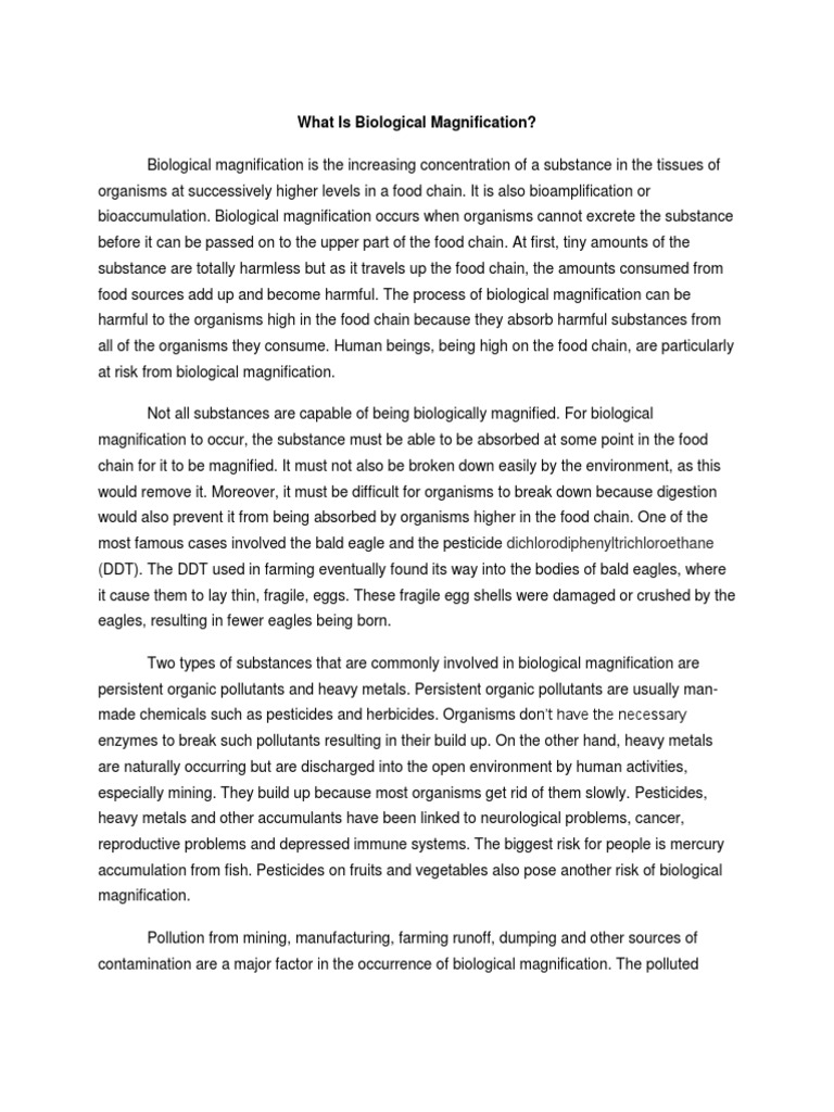 Biological Magnification | PDF | Human Impact On The Environment ...