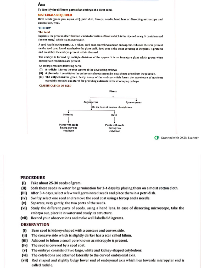 Class 10 Th Experiment 4 to Identify Different Parts of a. Embryo of a ...
