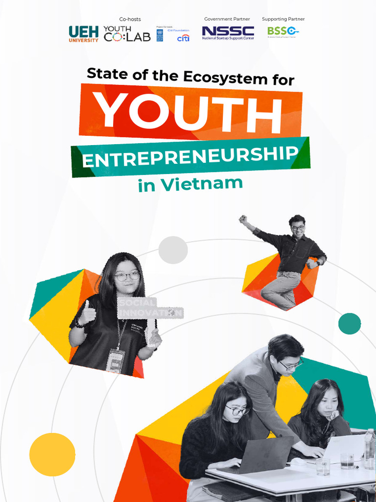 Executive Summary State of the Ecosystem for Youth Entrepreneurship Viet Nam | PDF ...