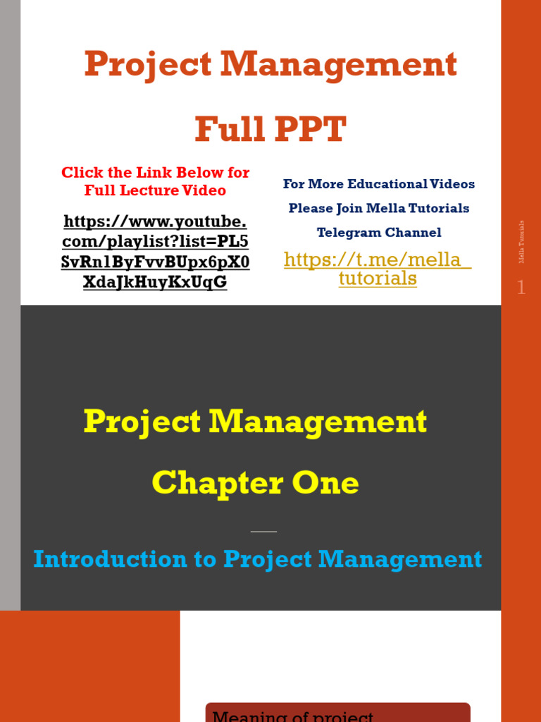 Introduction to Project Management Basics | PDF | Project Management ...
