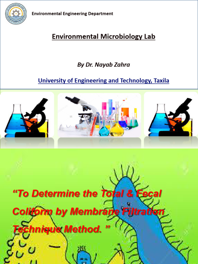 Lec 11 | PDF
