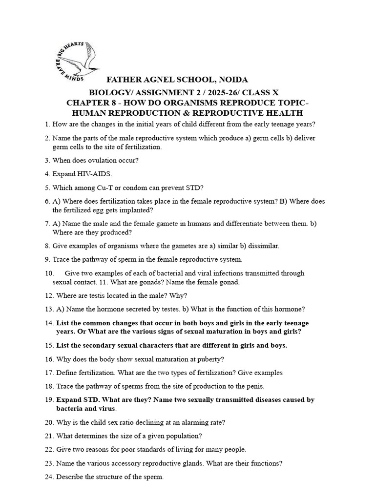 Human Reproduction Assignment | PDF | Reproductive System | Birth Control