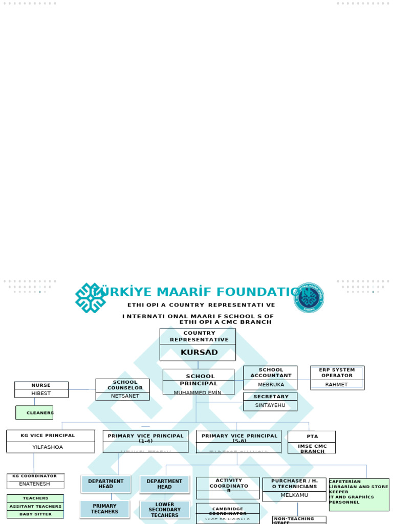 TMF Ethiopia Organizational Structure - Cmc1 | PDF
