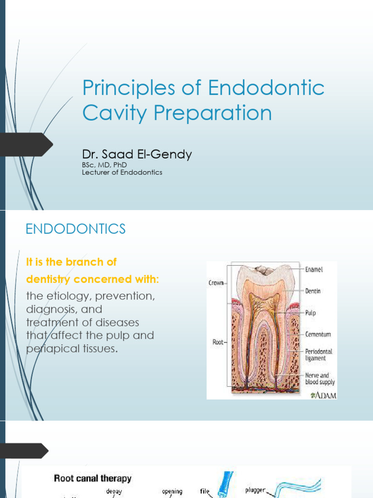 Endodontic Cavity Preparation Guide | PDF | Medical Specialties | Tooth