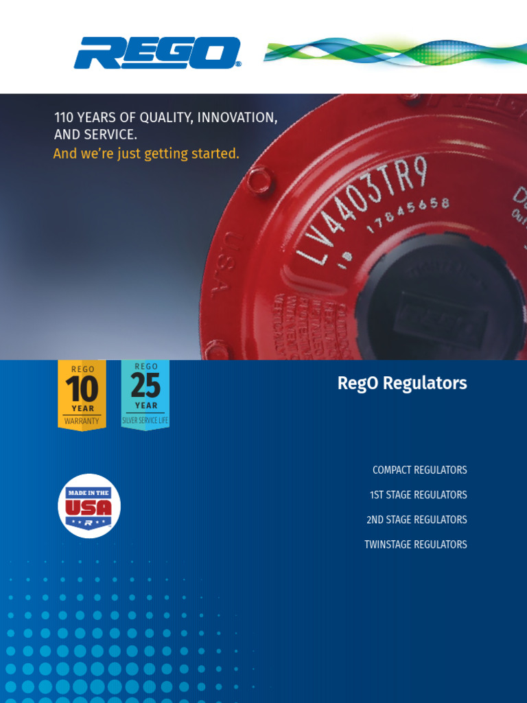 RG-100 2019 Regulator Book-Min | PDF | Equipment | Mechanical Engineering