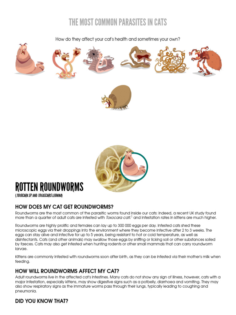 Parasites in Cats | PDF