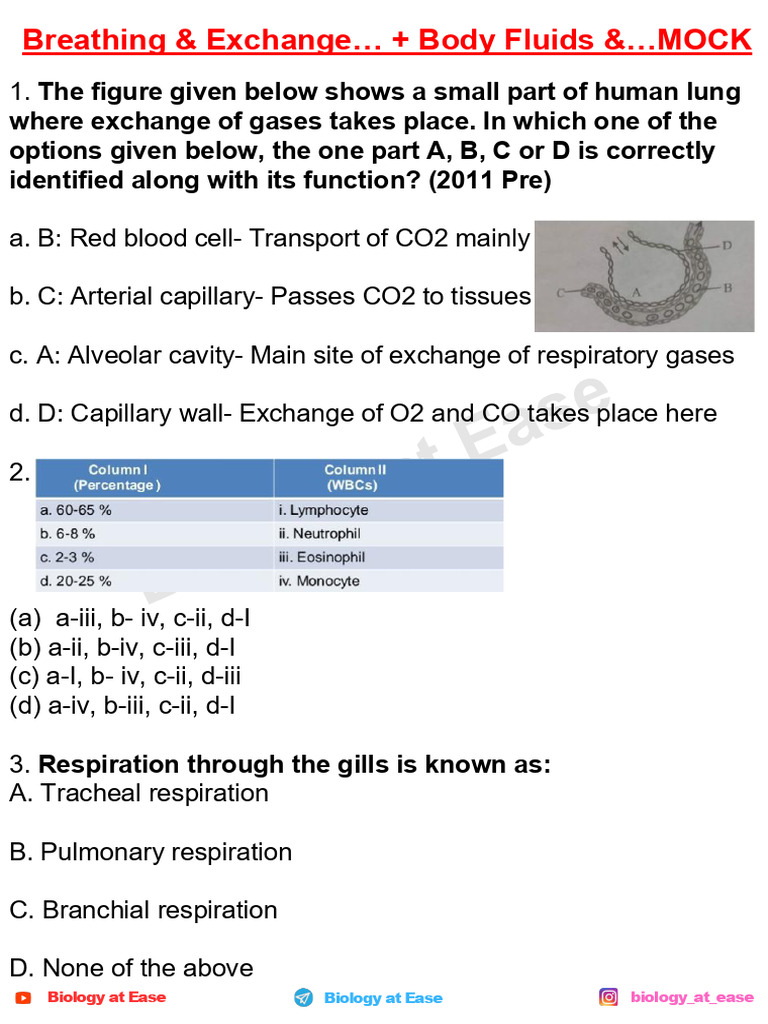 Breathing+ Body Circulation MOCK | PDF | Respiratory System | Lung