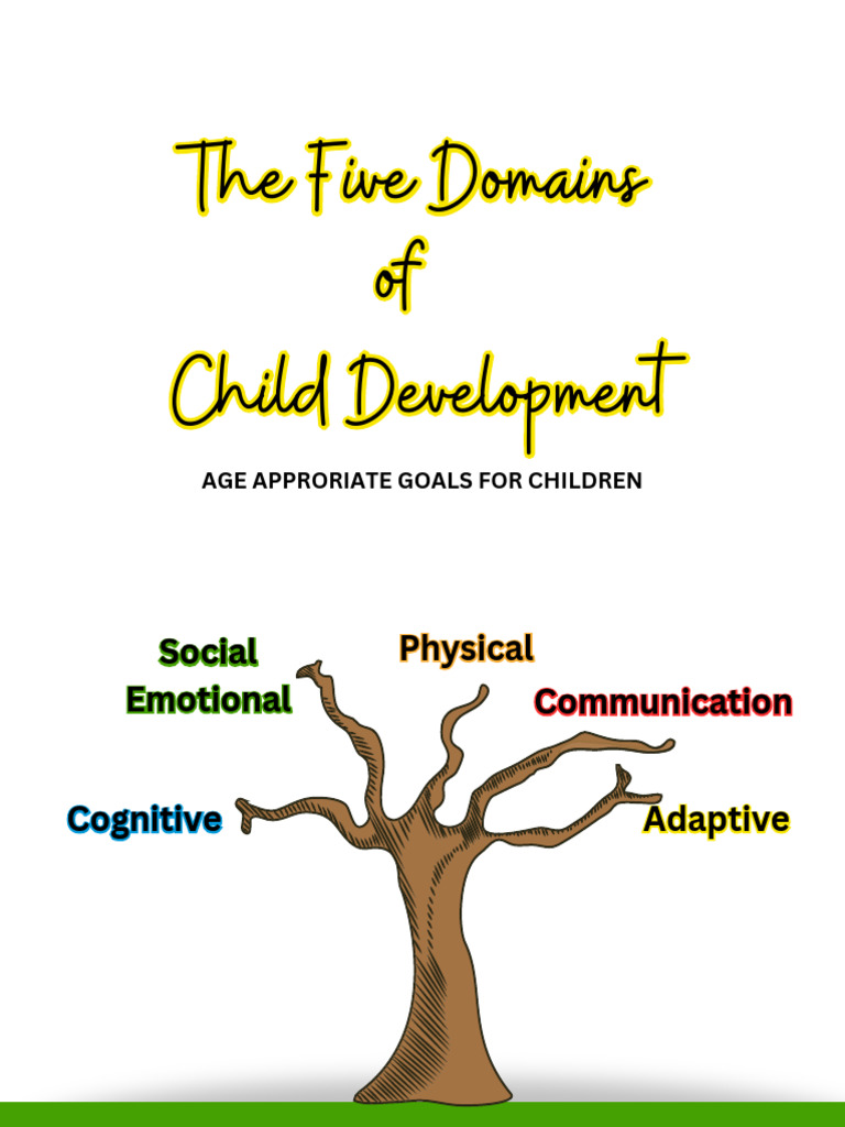 The Five Domains of Development | PDF | Foot | Toys