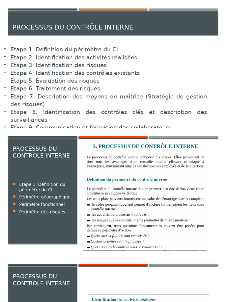 Processus de Contrôle Interne en 10 Étapes | PDF