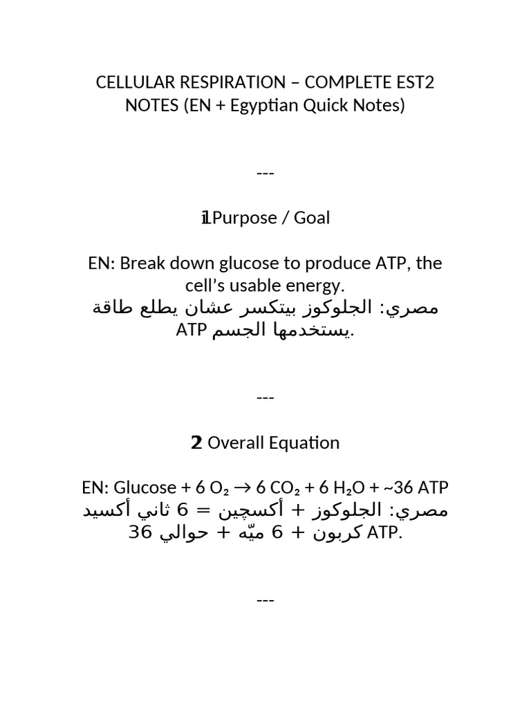 Cellular Respiration - Complete Est2 Notes | PDF