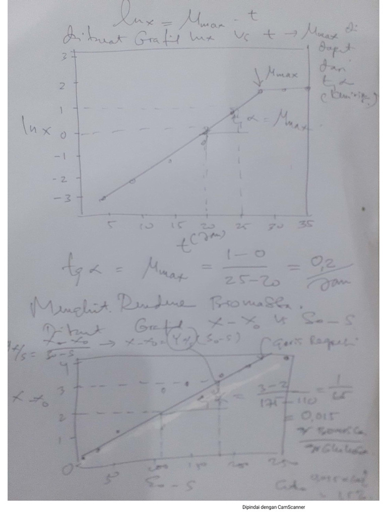 Contoh Menghitung Parameter Kinetika Mikrobial | PDF