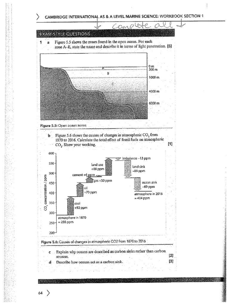 Aice+Chapter+Practice+16+Zones02!28!2025 125926 | PDF