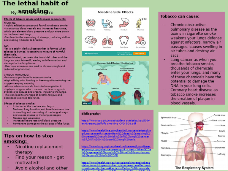 Smoking Pamphlet | PDF | Lung | Respiratory Tract