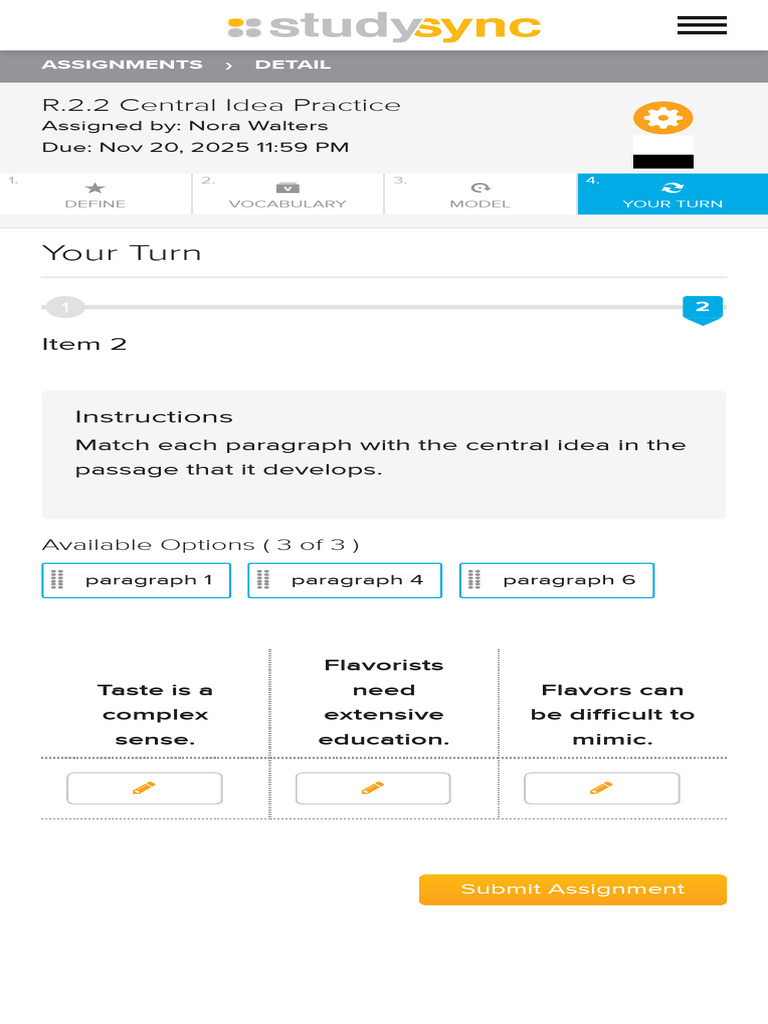 StudySync - Your Turn 2 - R.2.2 Central Idea Practice | PDF