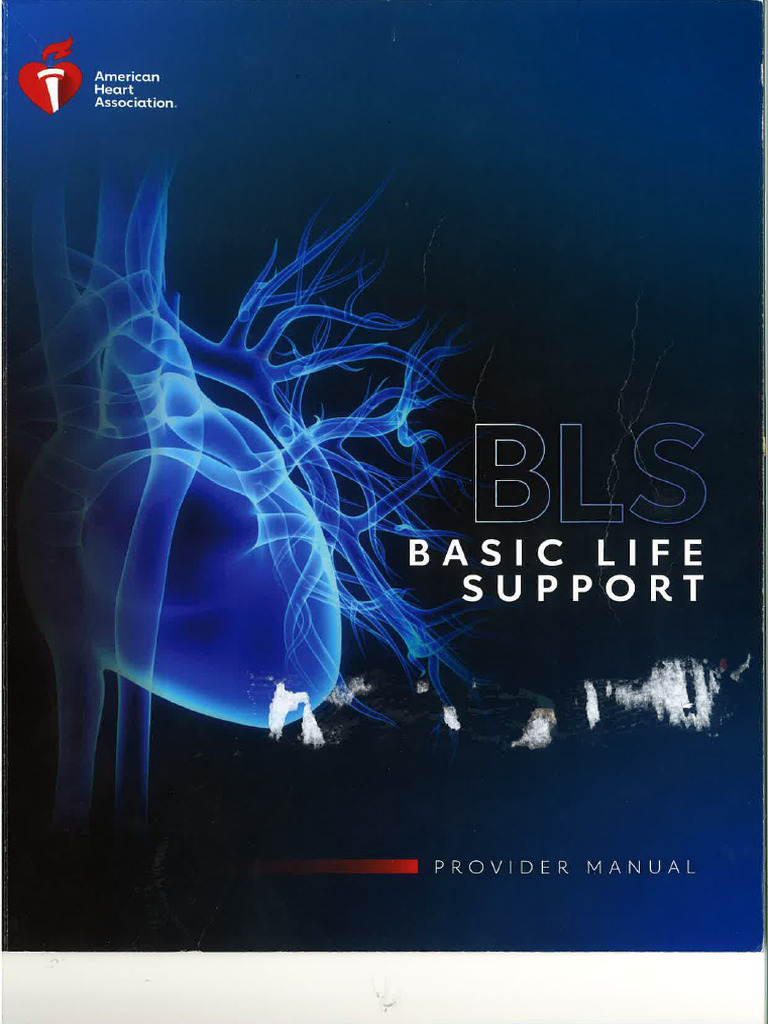 AHAH BLS Provider Manual 2020 Guidelines | PDF