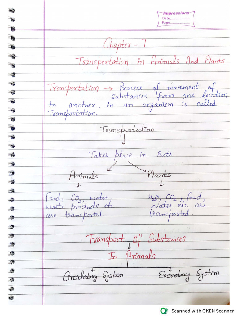 transportation | PDF