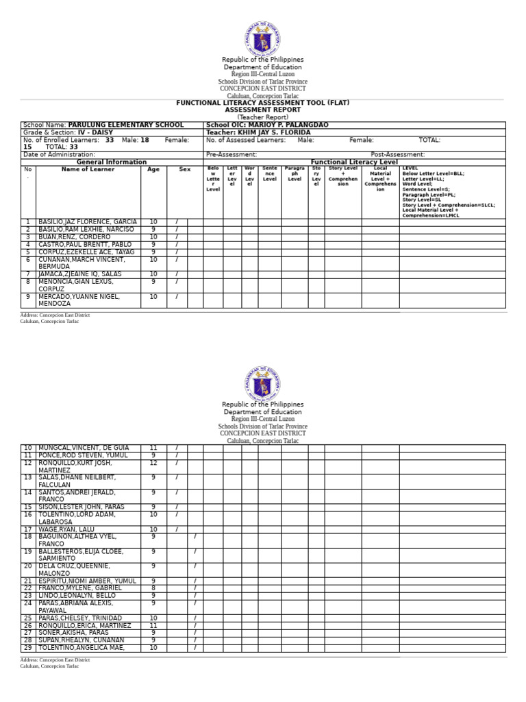 Functional Literacy Assessment Report | PDF