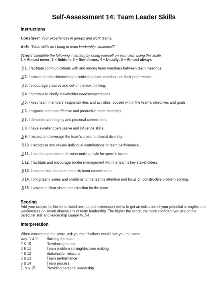 Self Assessment 14, Team Leader Skills | PDF