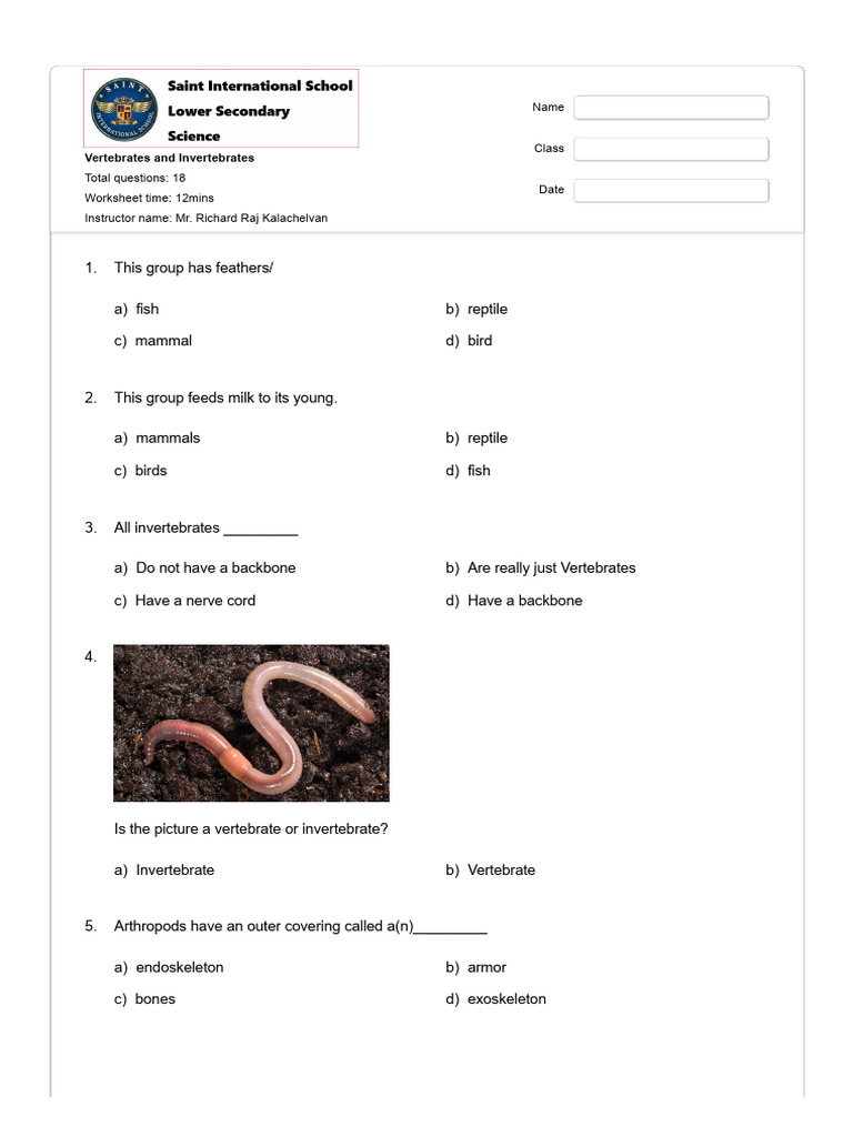 Vertebrates vs Invertebrates Worksheet | PDF | Vertebrates | Invertebrate