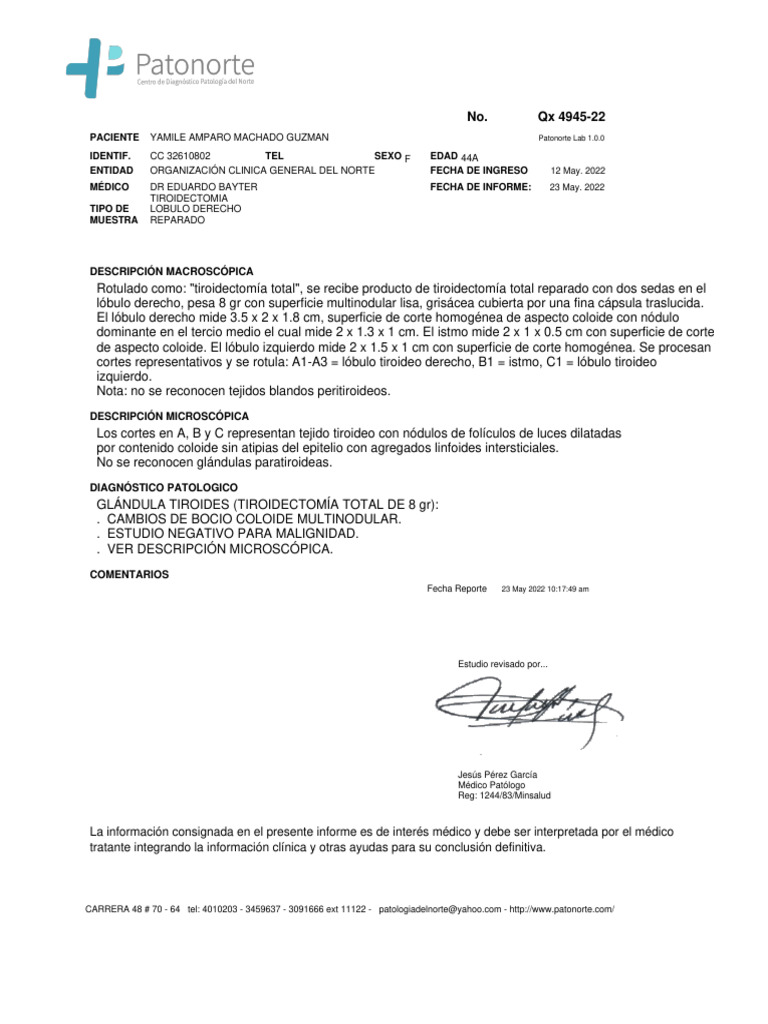 Pato Norte (2) | PDF | Tiroides | Sistema endocrino