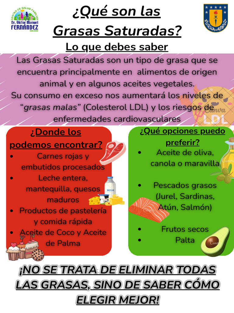 ¿Qué Son Las Grasas Saturadas | PDF