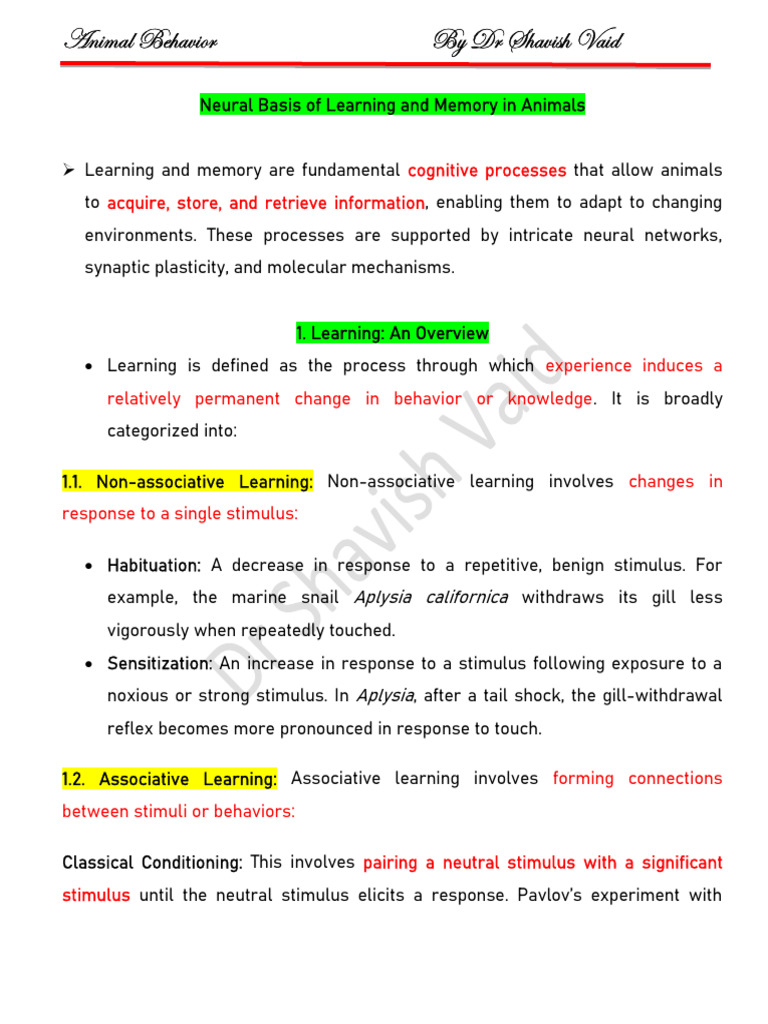 Animal Behaviour. Lec 01 | PDF | Synaptic Plasticity | Memory