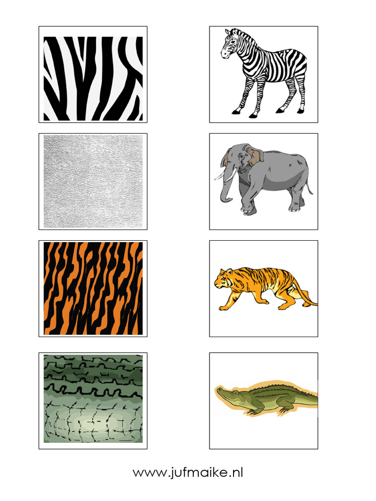 Eigenschappen Dieren Sorteren | PDF