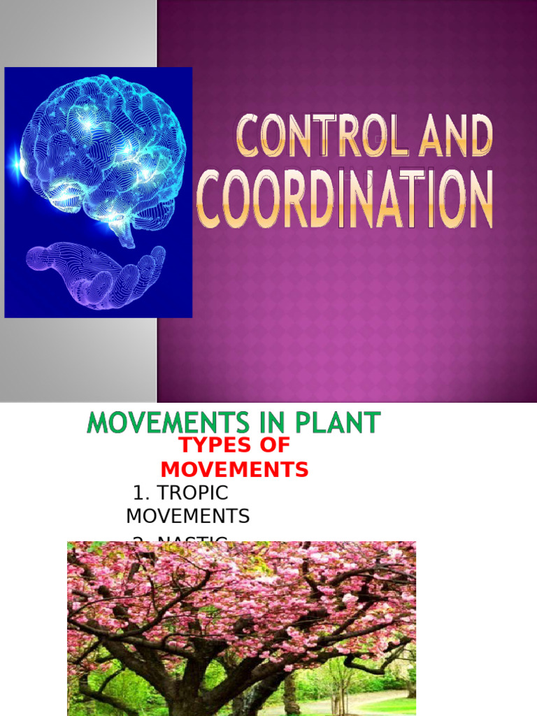 CH 2 PPT | PDF | Plant Hormone | Neuron