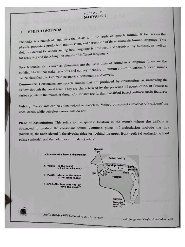 English Record 1 | PDF