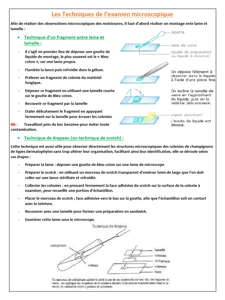 Techniques d'examen microscopique des moisissures | PDF