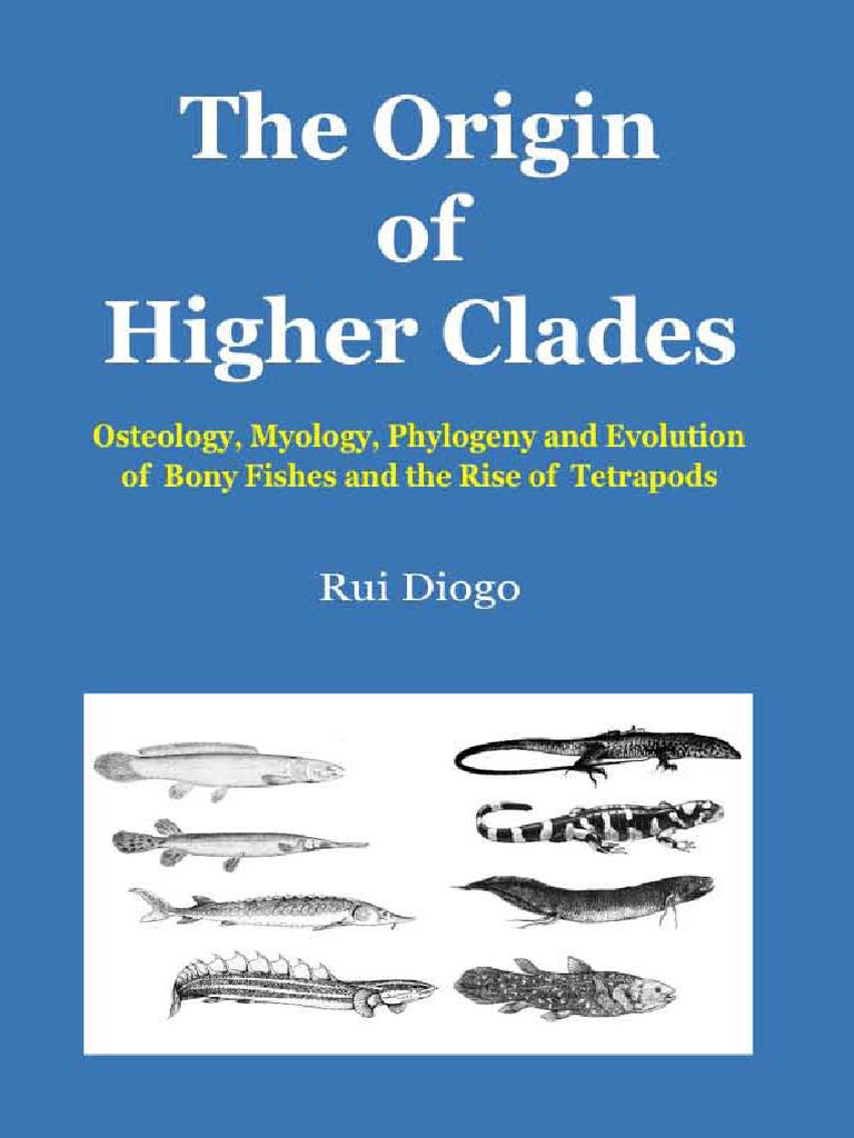 The Origin of Higher Clades Osteology, Myology, Phylogeny and Evolution ...