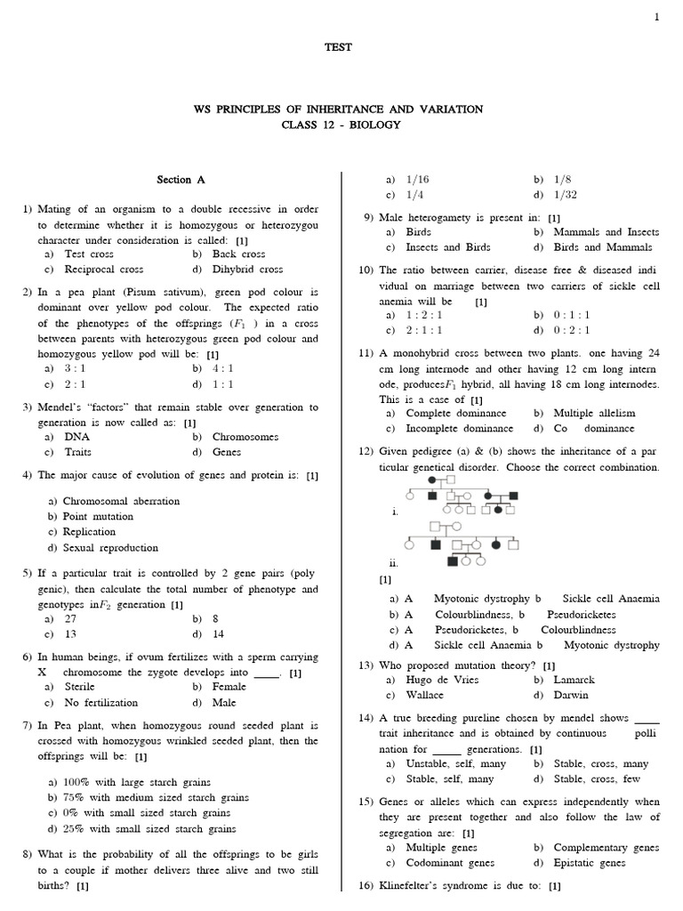 Principles of Inheritance Test Class 12 | PDF | Dominance (Genetics ...