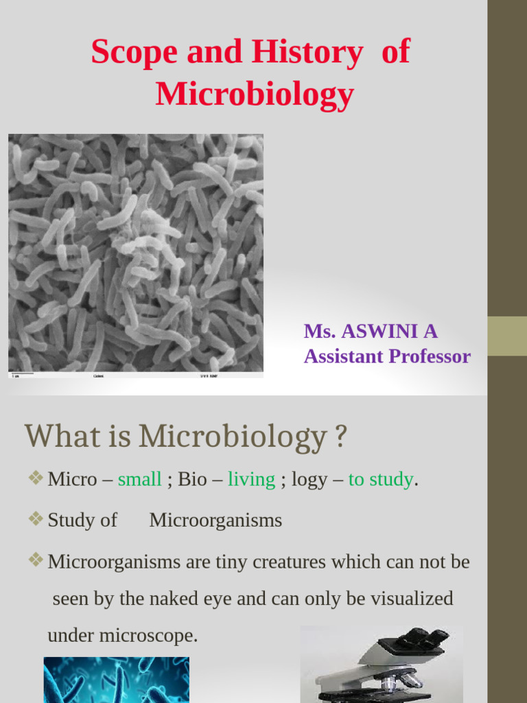 Overview of Microbiology and Its Branches | PDF | Microbiology ...