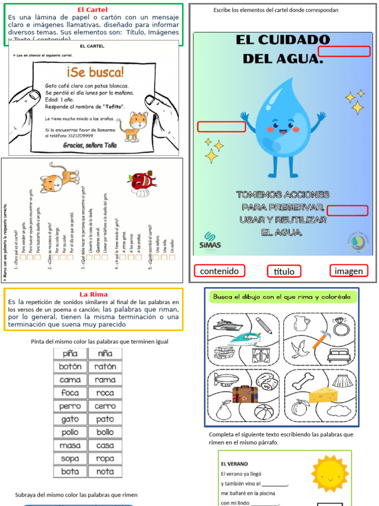 Cartel Primero y Segundo | PDF | Sistema inmune | Tracto gastrointestinal