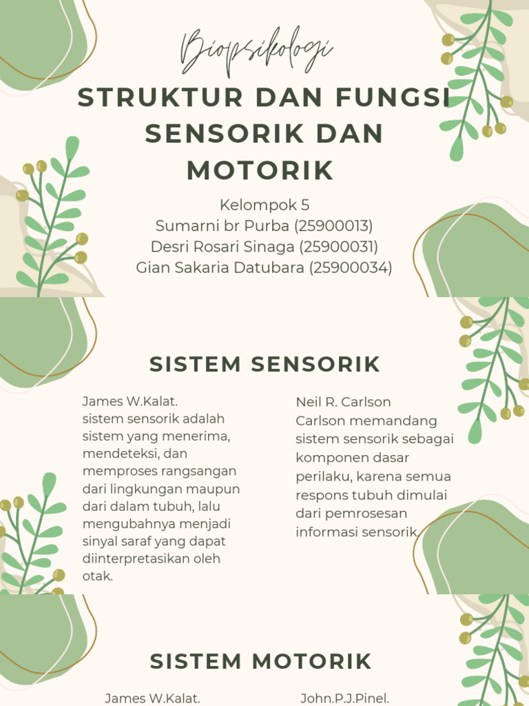 Struktur dan Fungsi Sistem Sensorik-Motorik | PDF
